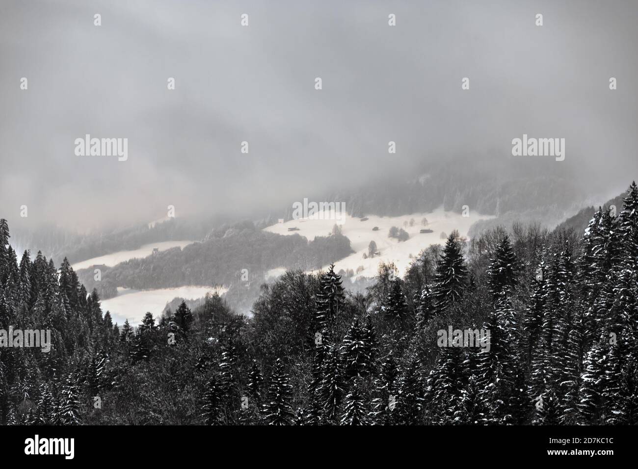 Swiss Alps near Davos, Switzerland. Snow-covered fir trees Stock Photo ...