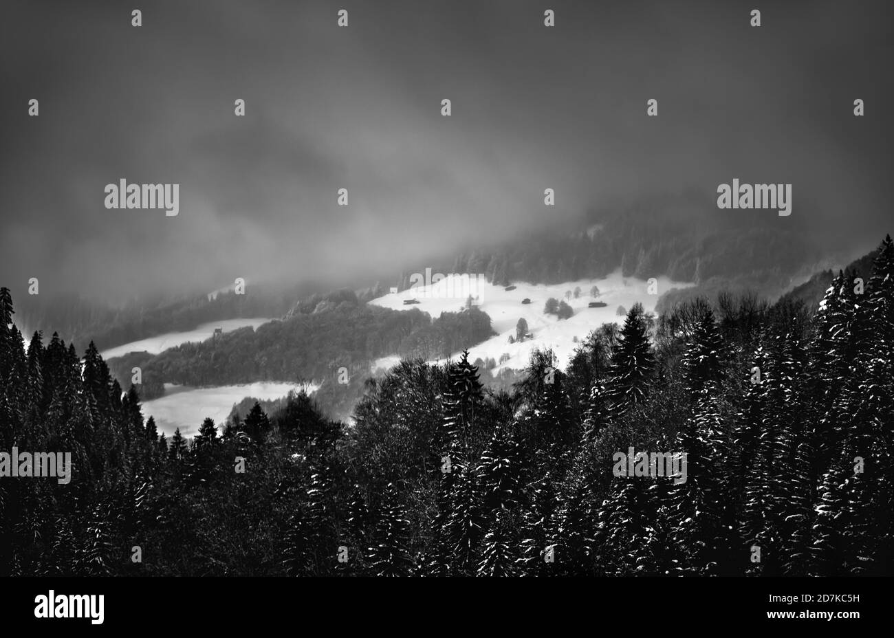 Trees covered snow near Black and White Stock Photos & Images - Alamy