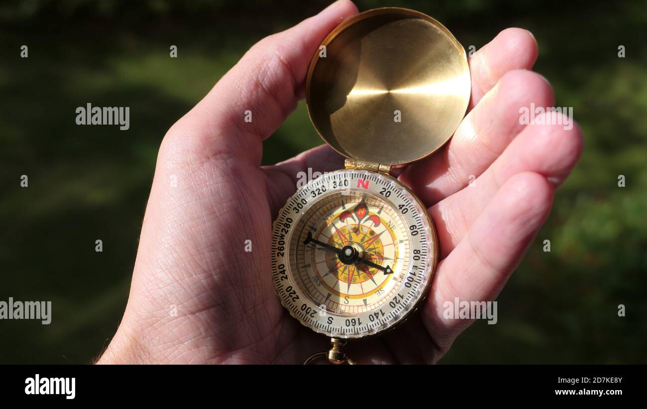 Person in forest using a compass to find direction Stock Photo - Alamy