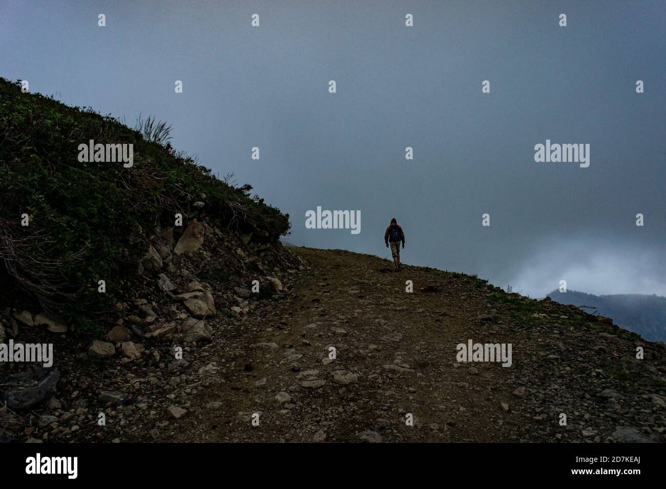 Man from behind with a backpack is trekking along a mountain trail in ...