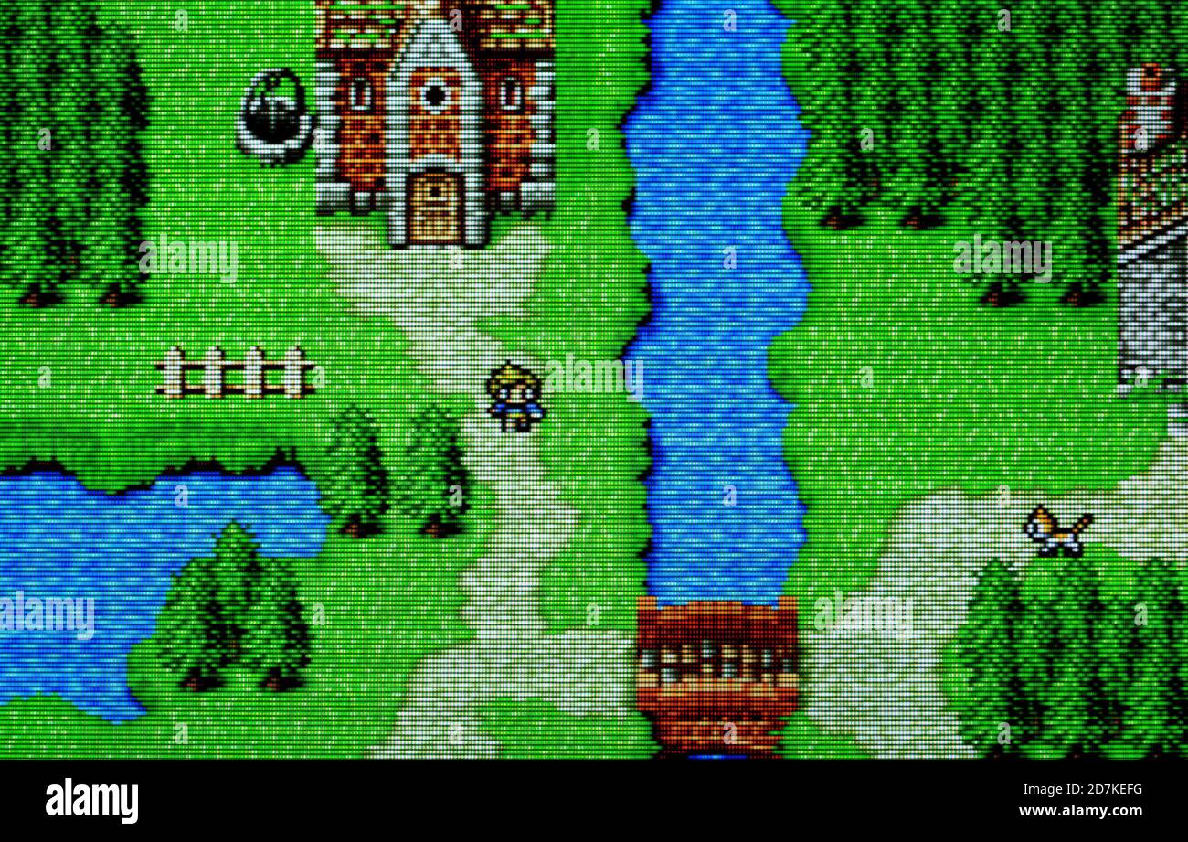 Final Fantasy I & II - Nintendo Game Boy Advance Videogame - Editorial ...