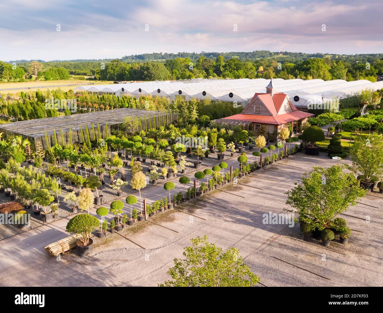 Architectural plants hi-res stock photography and images - Alamy