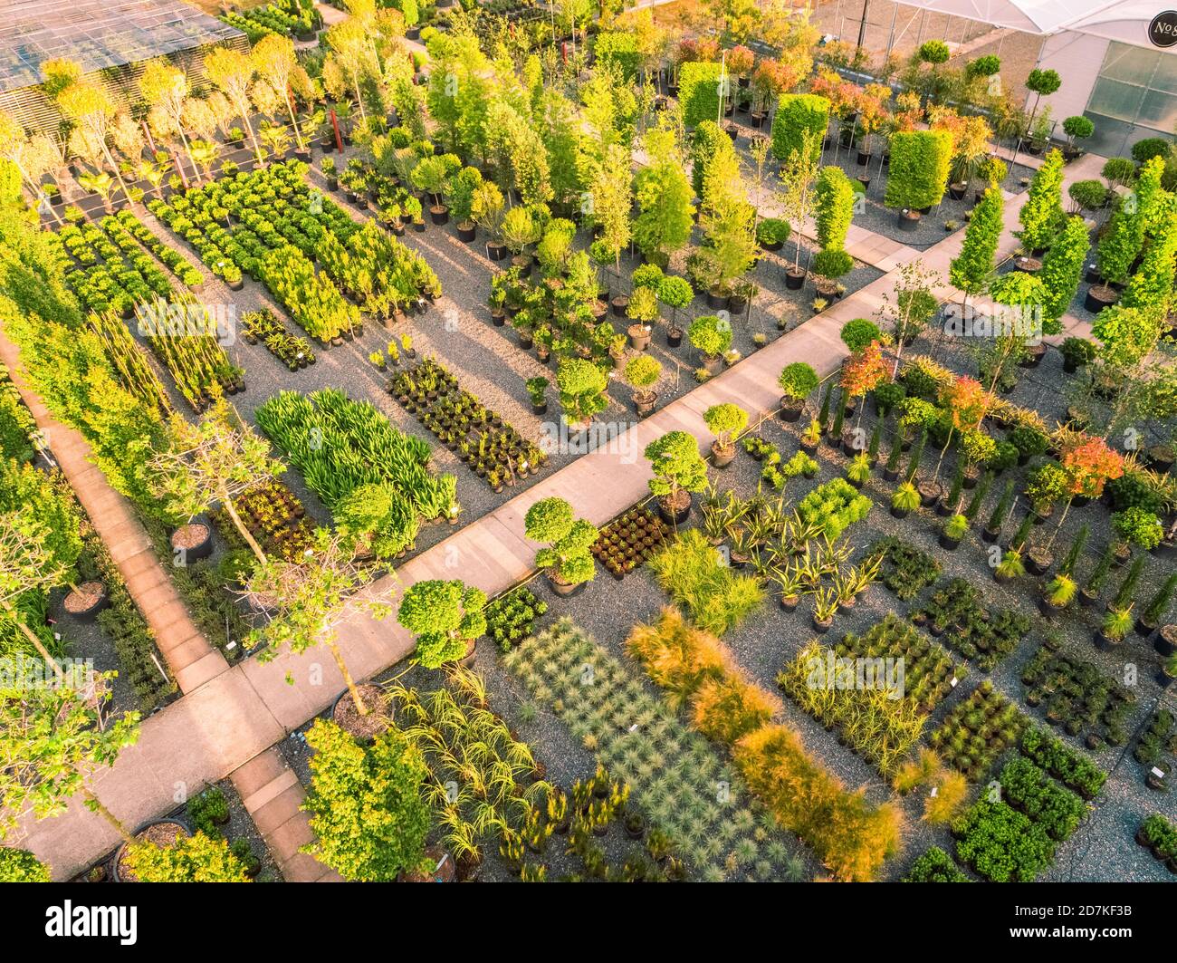 Architectural Plants is a nursery in Pulborough, West Sussex, England ...