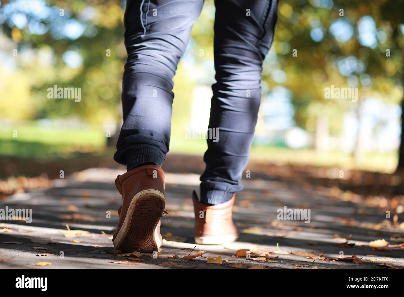 Autumn Park man walking along a path foliage Stock Photo - Alamy