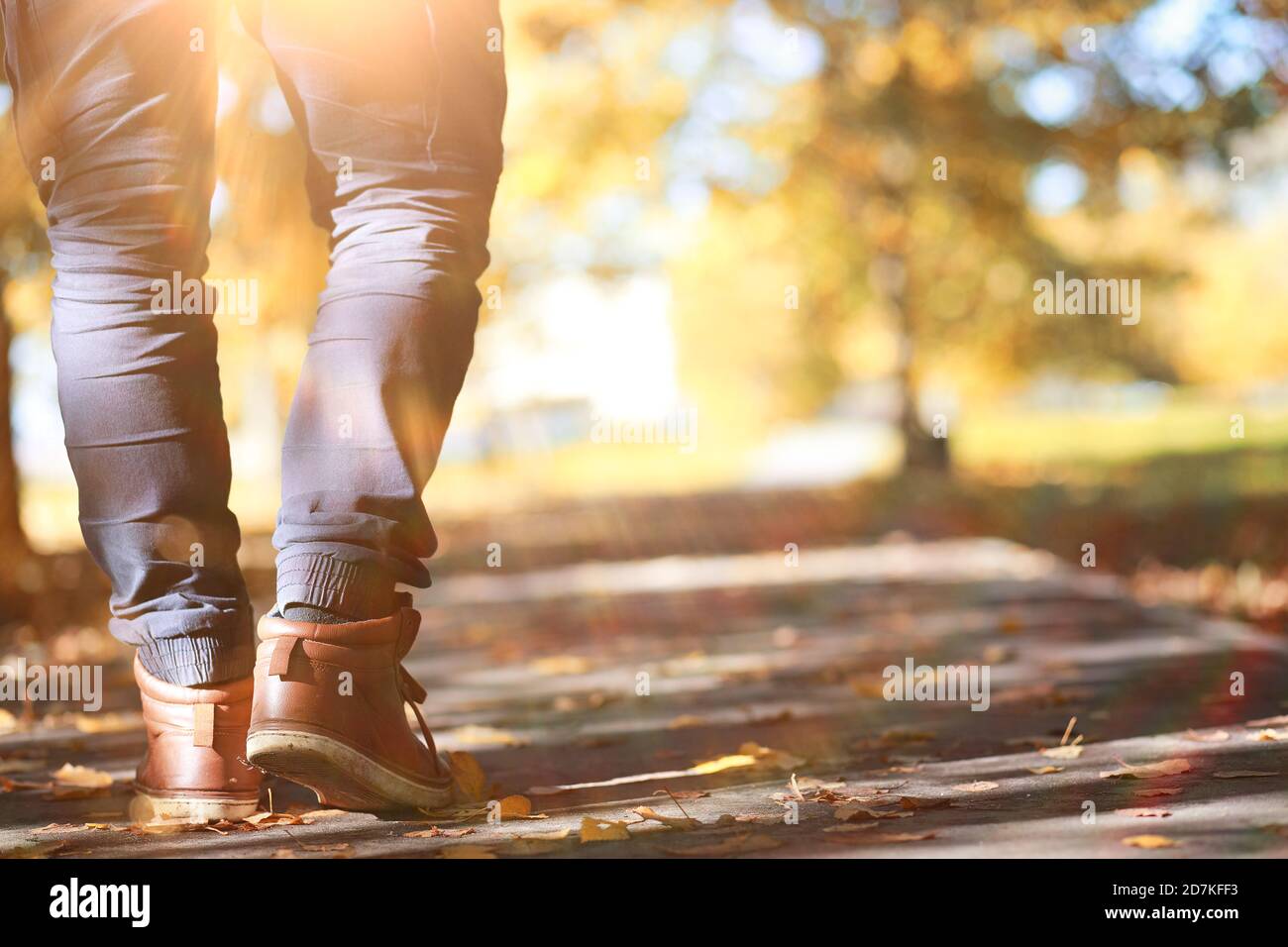 Autumn Park man walking along a path foliage Stock Photo - Alamy
