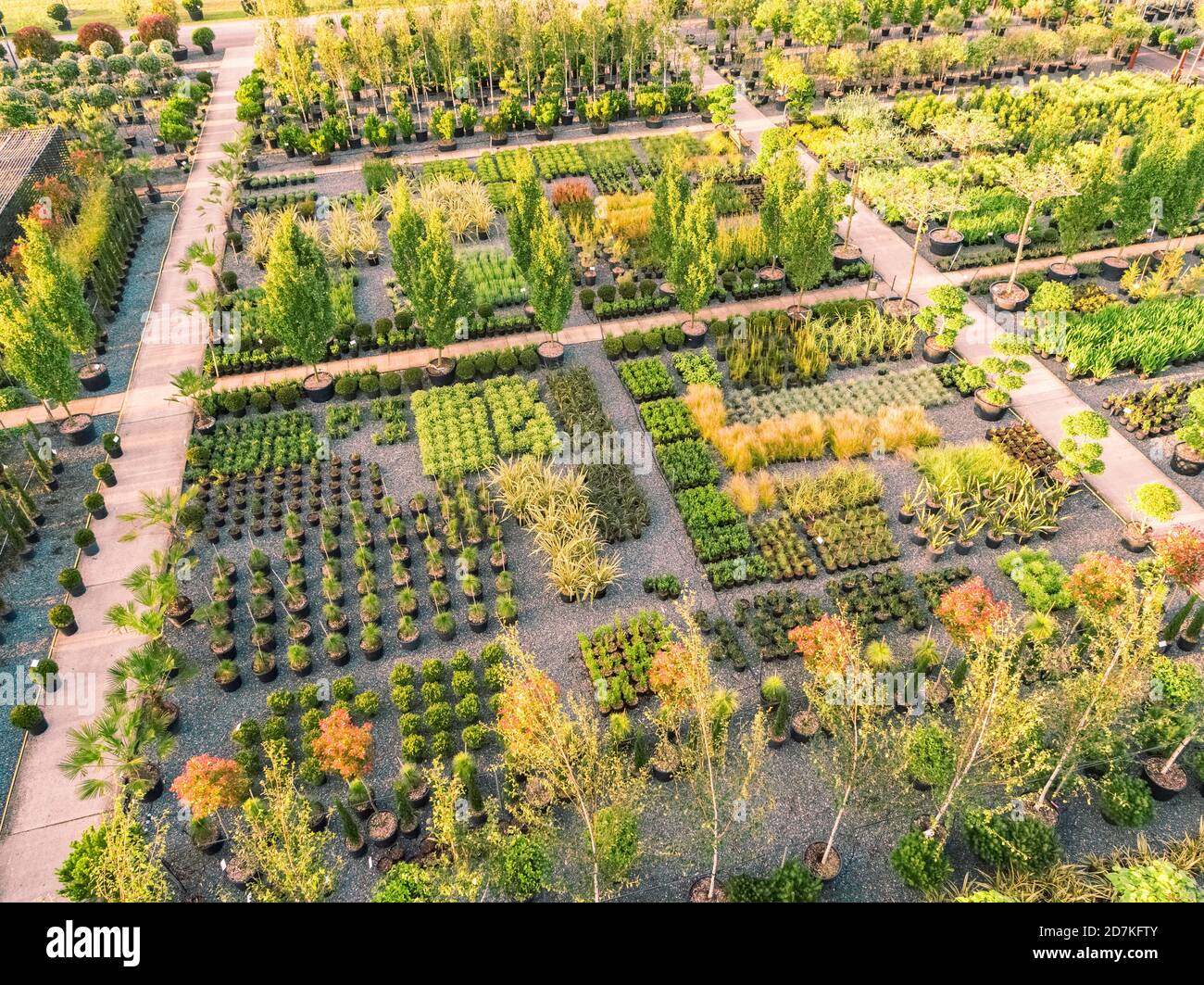 Architectural Plants is a nursery in Pulborough, West Sussex, England ...