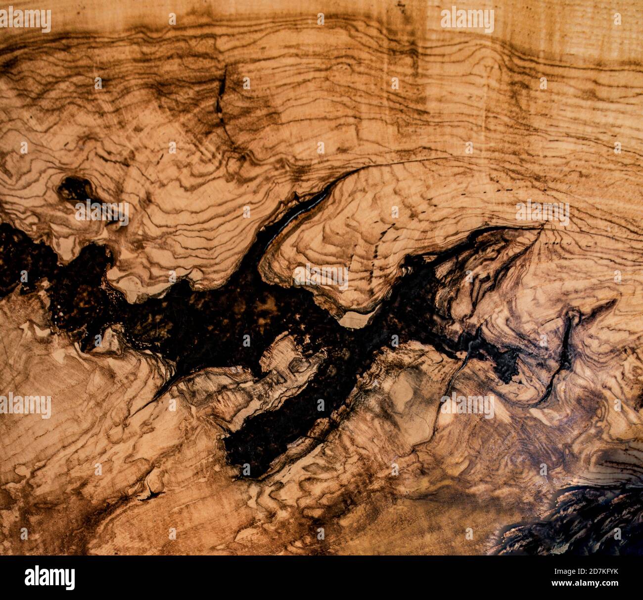 Abstract wood background with curves and dark resin inserts. Copy space ...