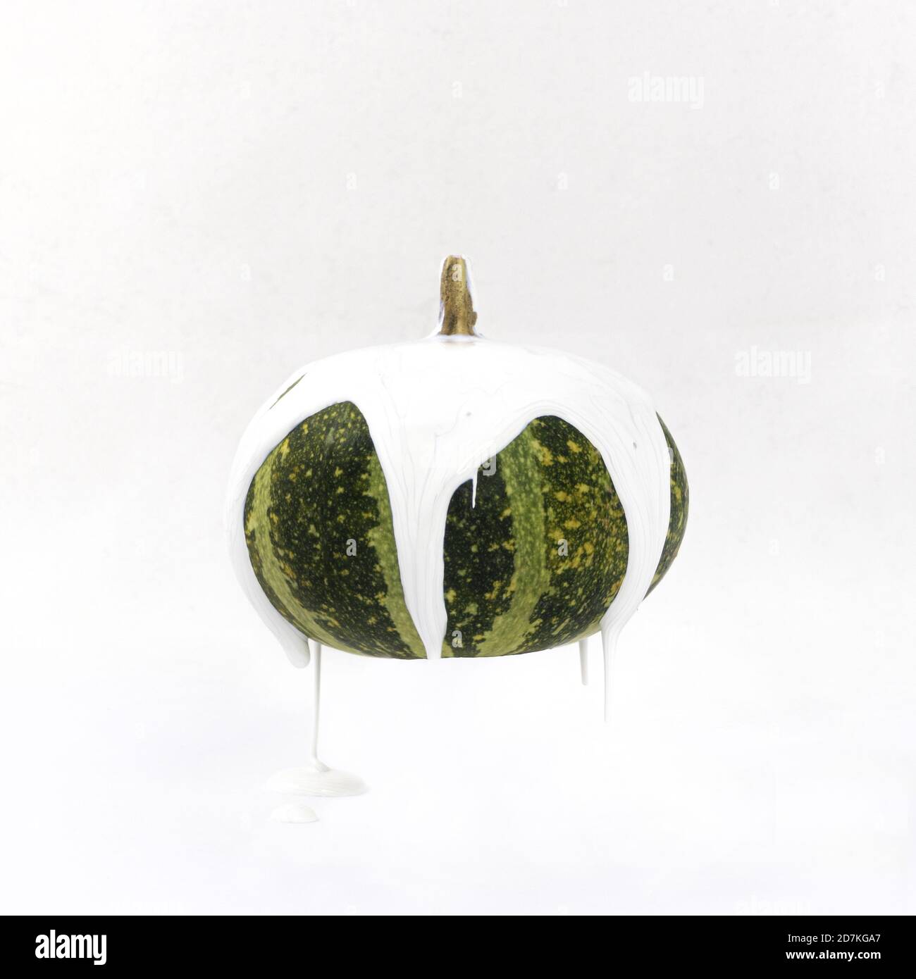 A pumpkin with the white color running down Stock Photo - Alamy