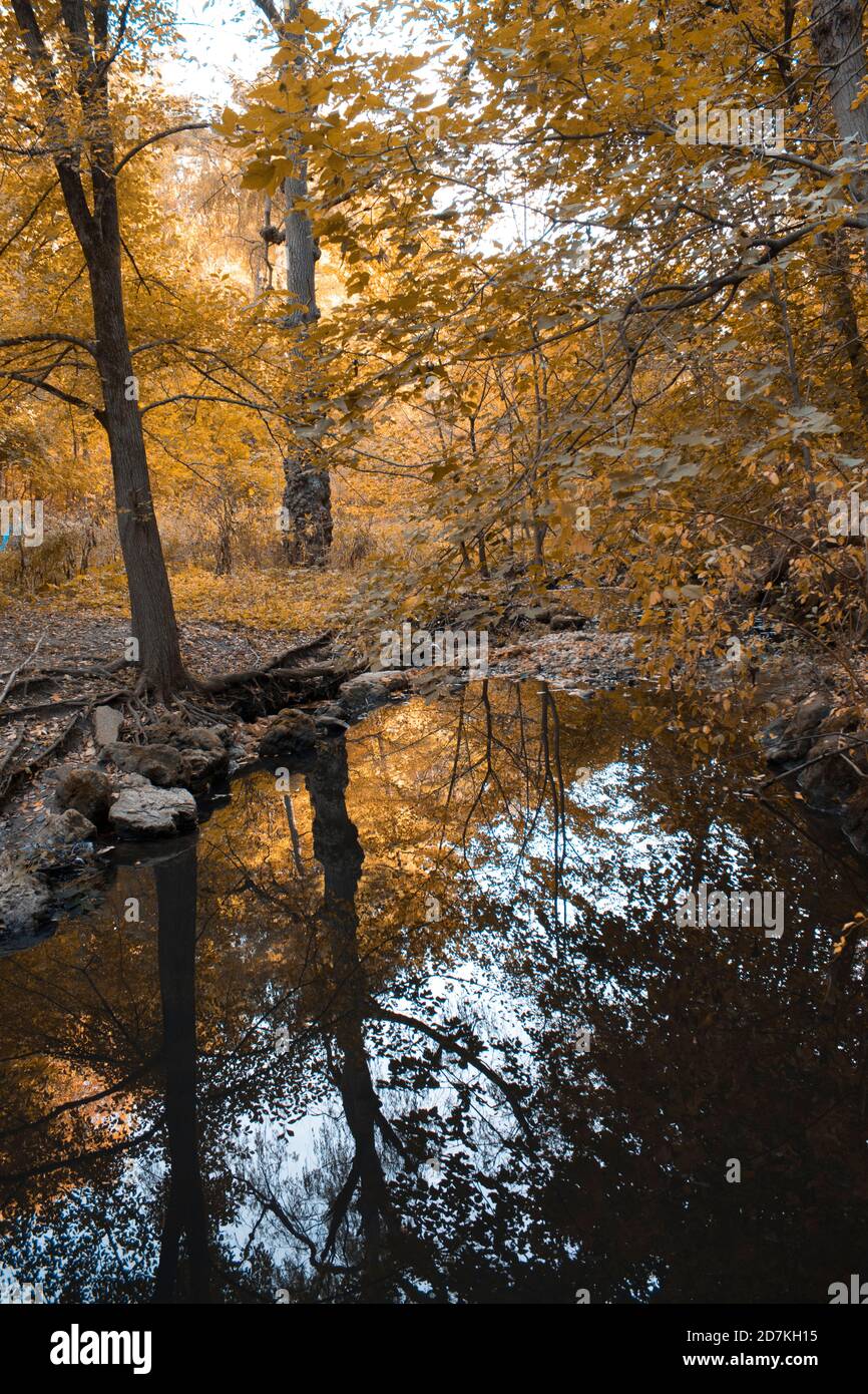 High park toronto autumn hi-res stock photography and images - Alamy