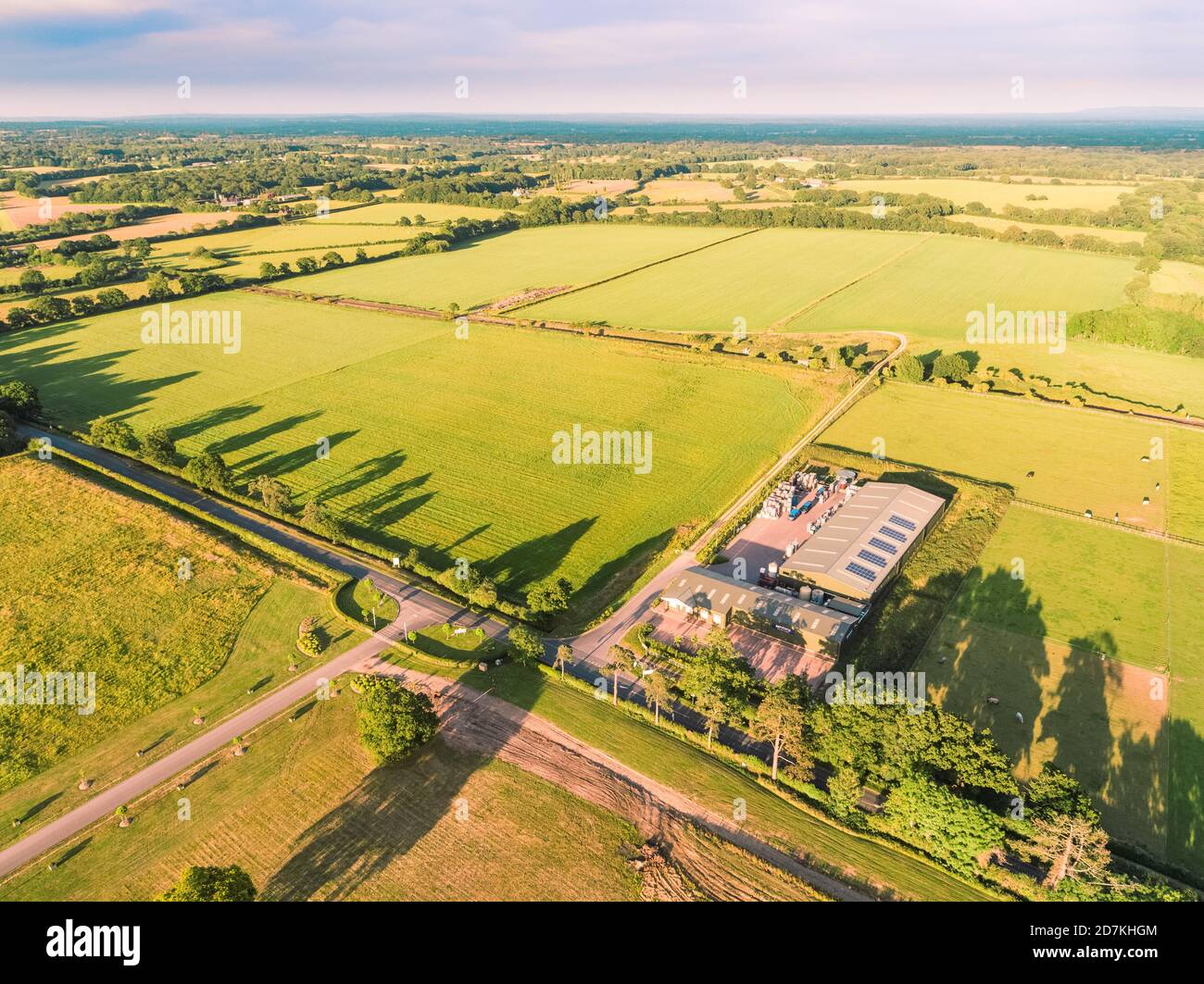 Architectural Plants is a nursery in Pulborough, West Sussex, England ...