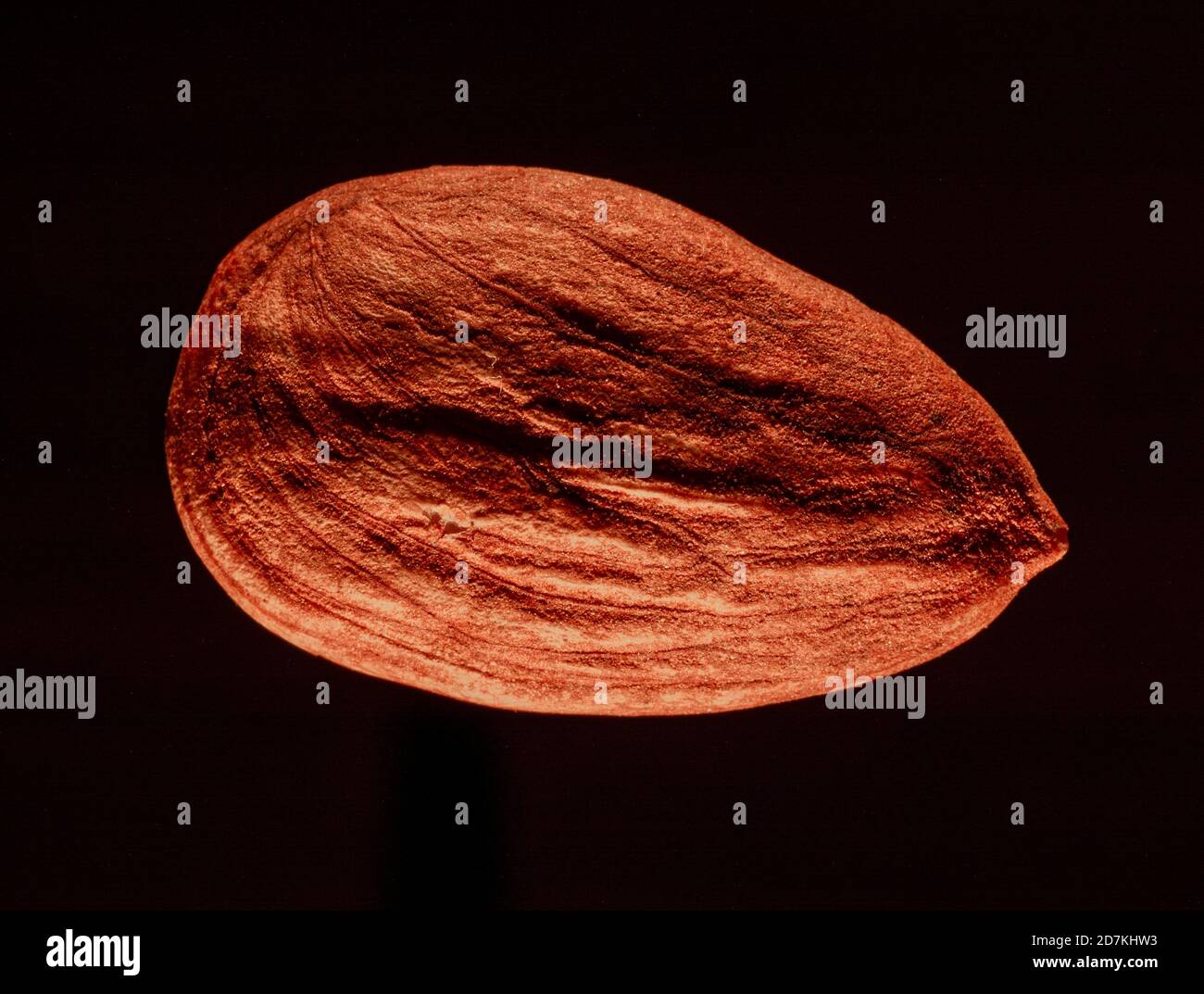 Almond seed hi-res stock photography and images - Alamy
