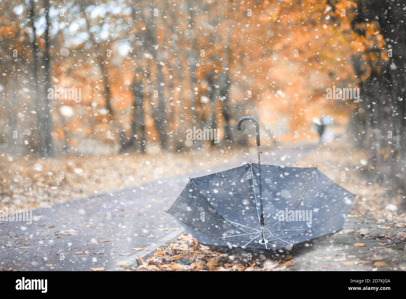 Autumn park in the first snow Stock Photo - Alamy