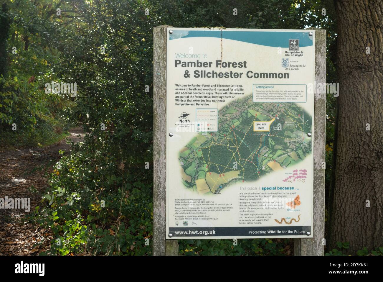 Pamber forest and silchester common hi-res stock photography and images ...
