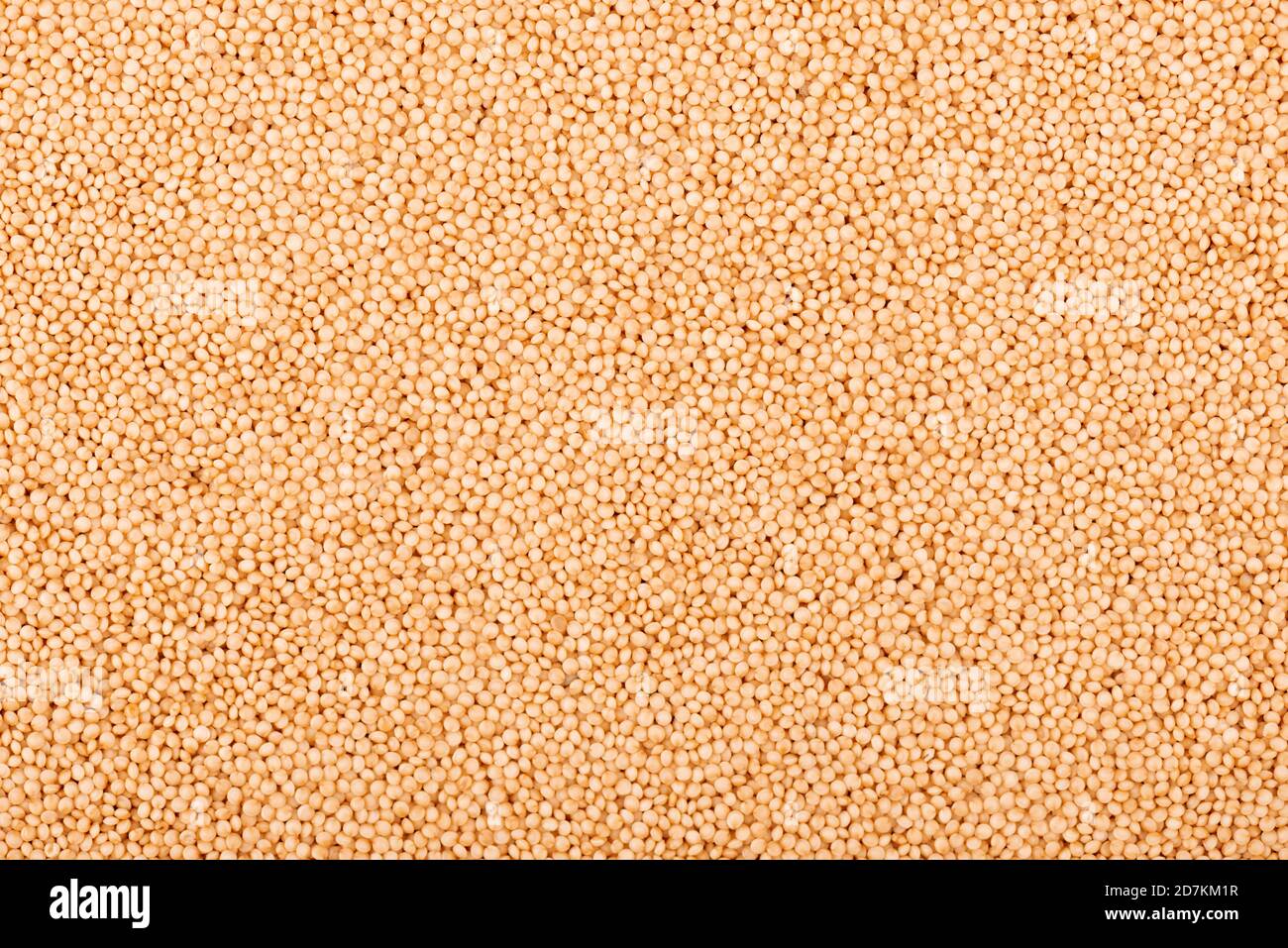 Amaranth seeds background. Organic dry raw amaranth beans. Close-up ...