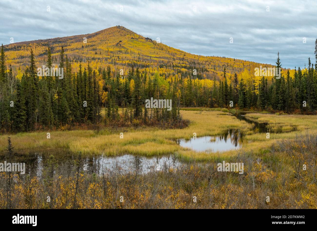 North America; United States; Alaska; Arctic Circle; Brooks Range ...