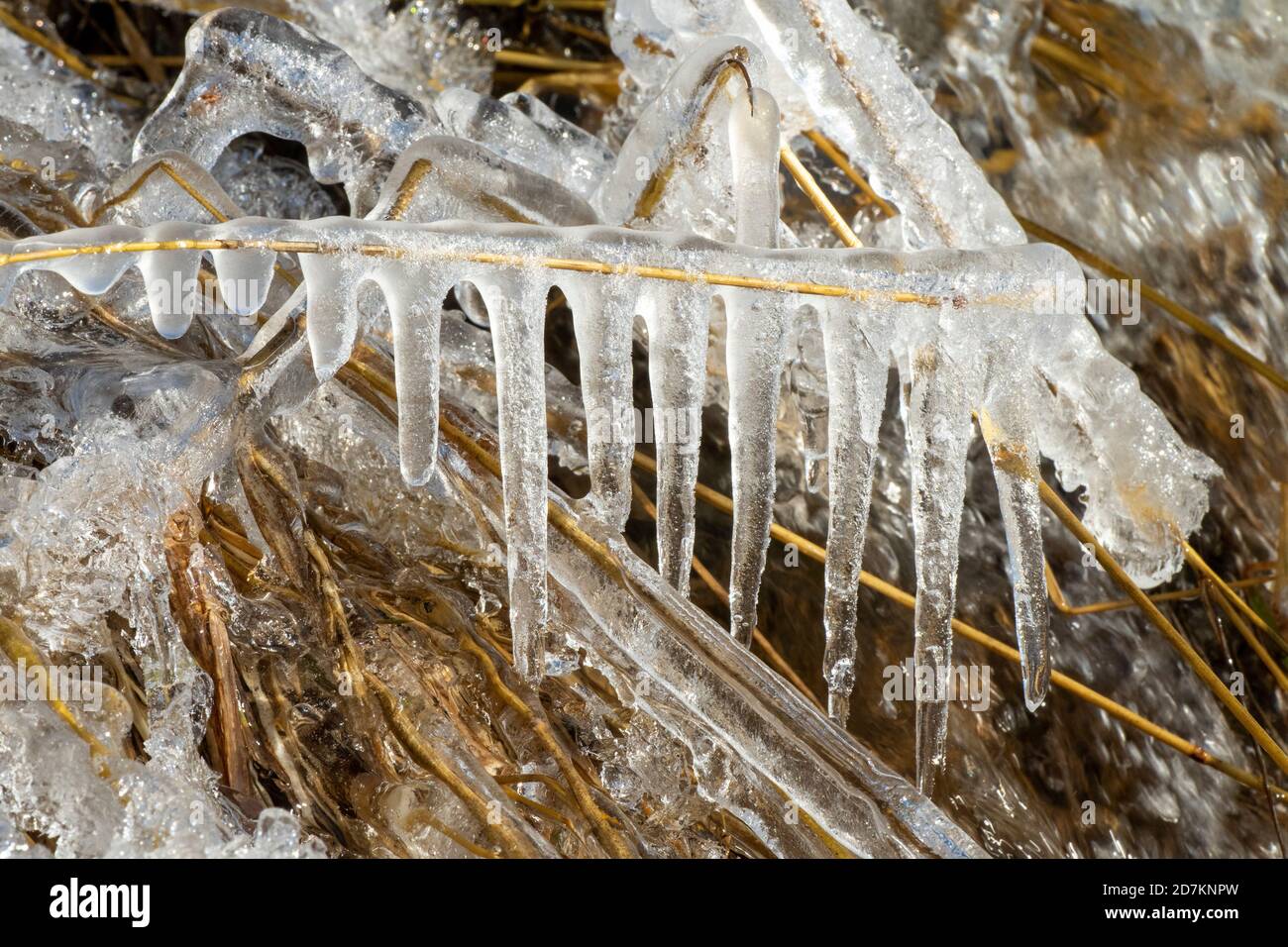 Iciciles hi-res stock photography and images - Alamy