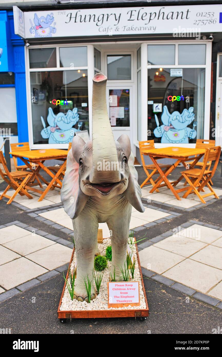 The hungry elephant cafe and takeaway exterior Stock Photo - Alamy