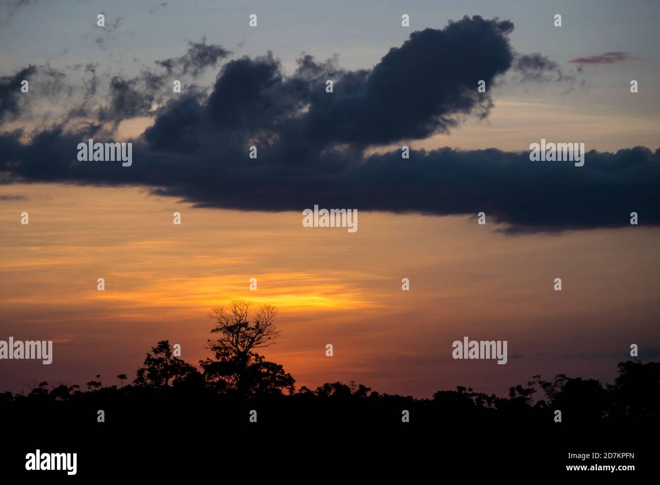 sunset on the rainforest Stock Photo - Alamy