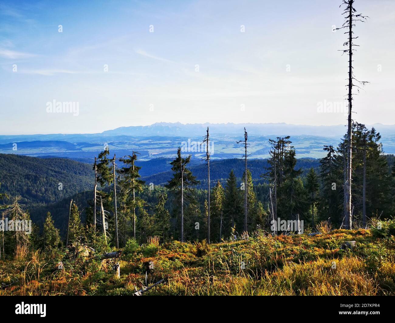 Gorce mountains hi-res stock photography and images - Alamy