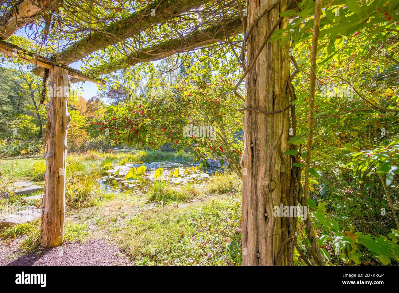 Light shining in morning - Image Stock Photo - Alamy