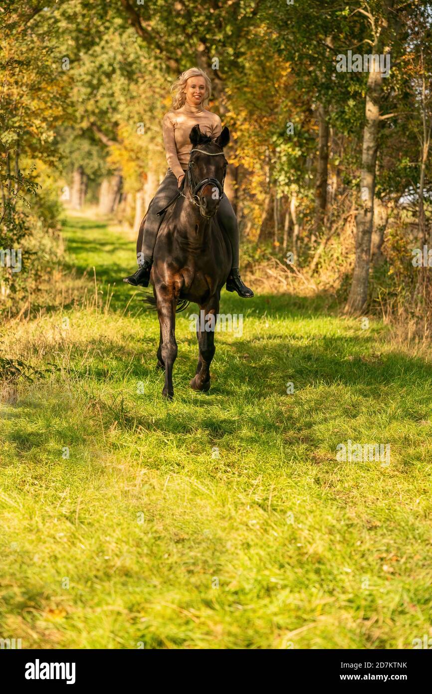 Beautiful girl riding a horse riding without a saddle in a autumn ...