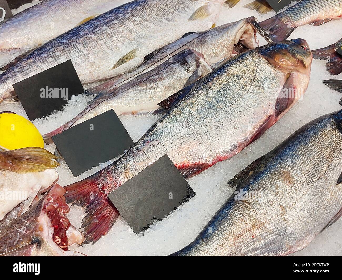 Silverhead hi-res stock photography and images - Alamy