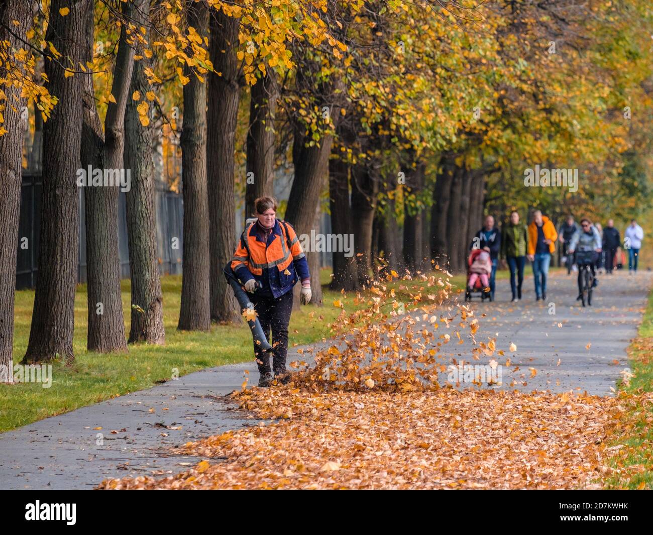 Leaf blower female hi-res stock photography and images - Alamy