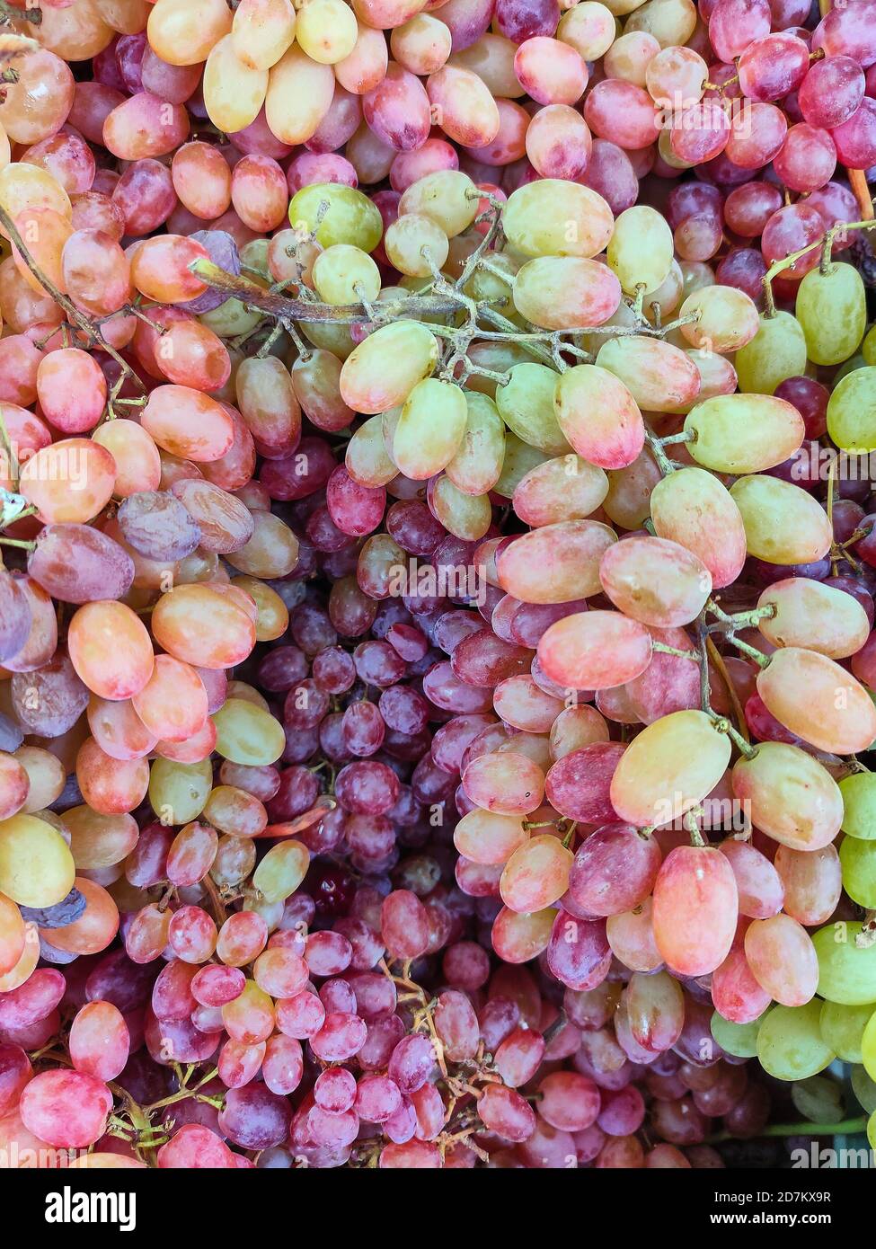 Fresh natural fruit grapes on a shop counter Stock Photo - Alamy