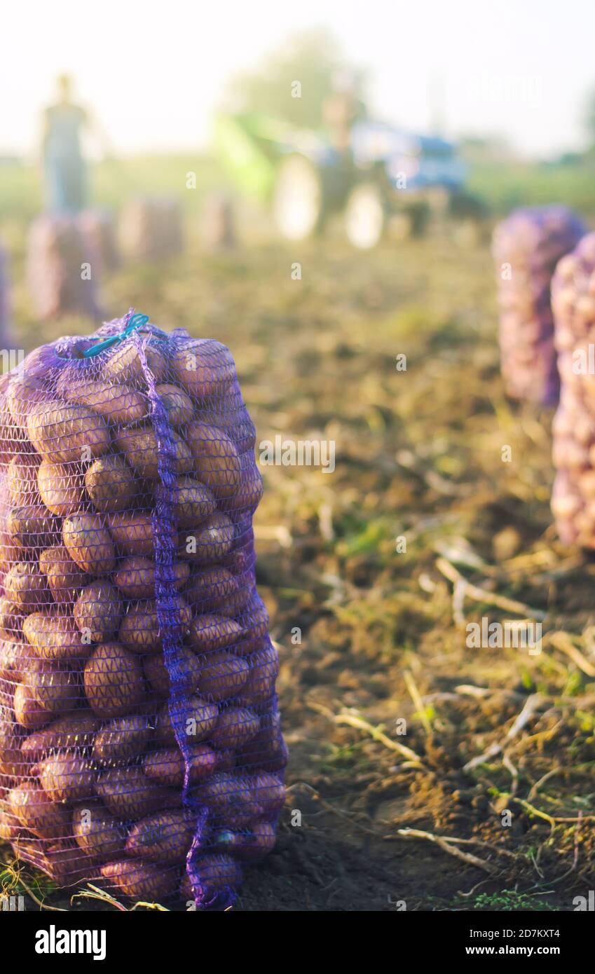 Farming bag hi-res stock photography and images - Alamy