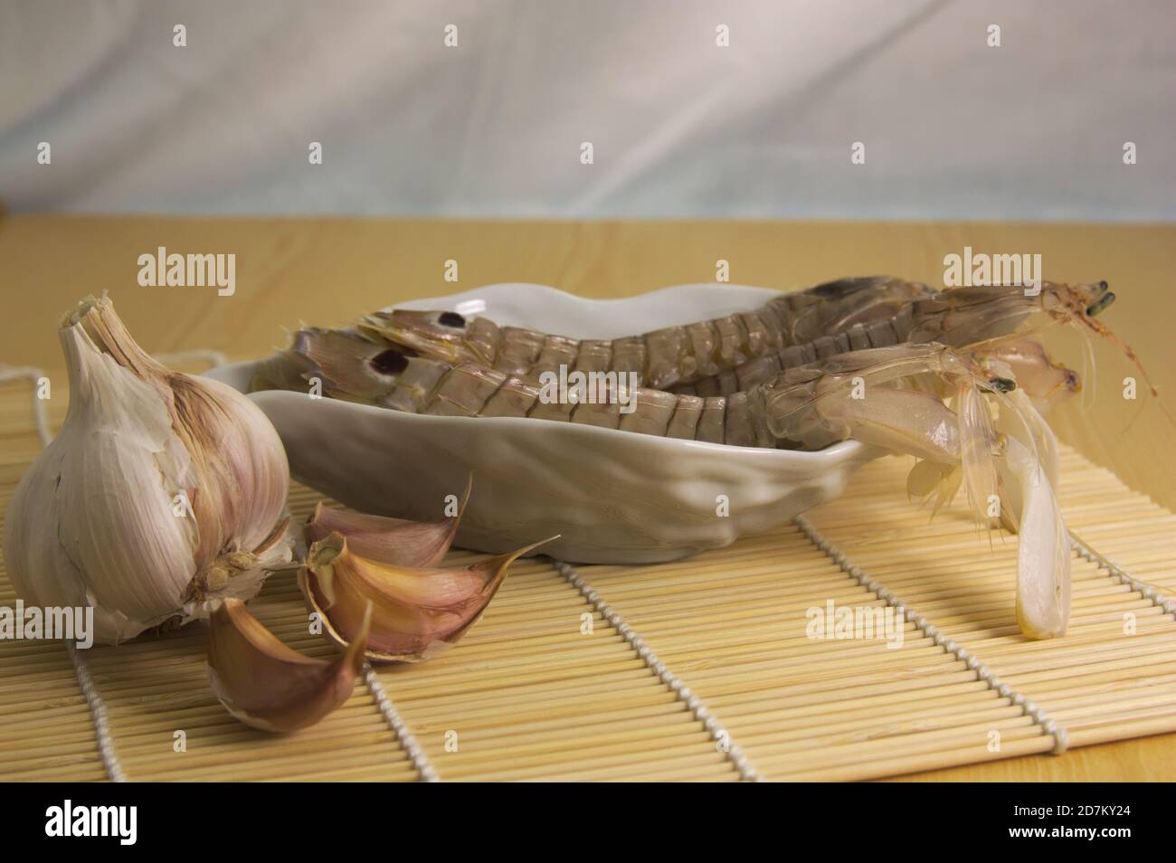 Species squilla mantis hi-res stock photography and images - Alamy