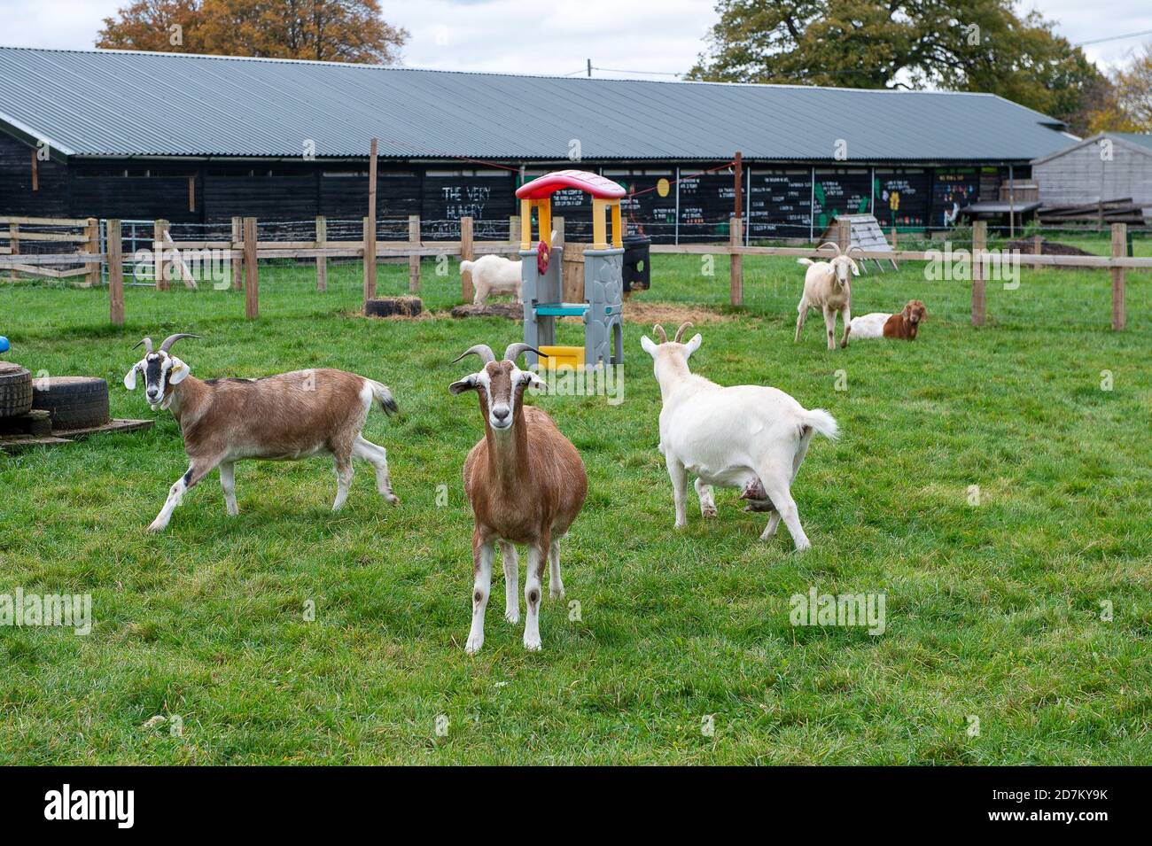 Stoke Mandeville, Buckinghamshire, UK. 23rd October 2020. Fusion JV ...