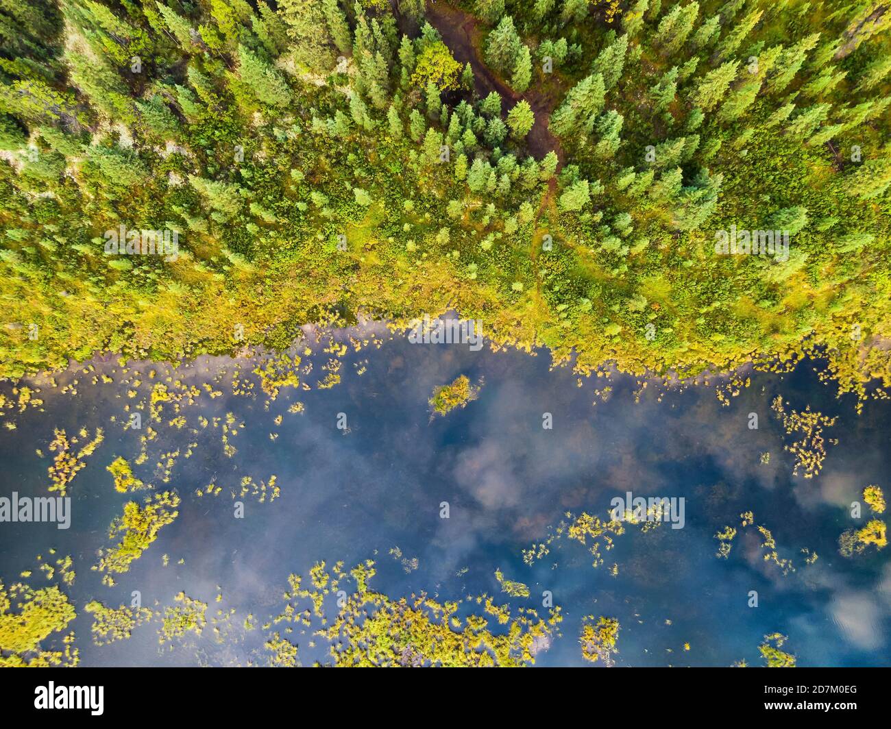 Aerial view of colorful pond in the marshlands Stock Photo - Alamy
