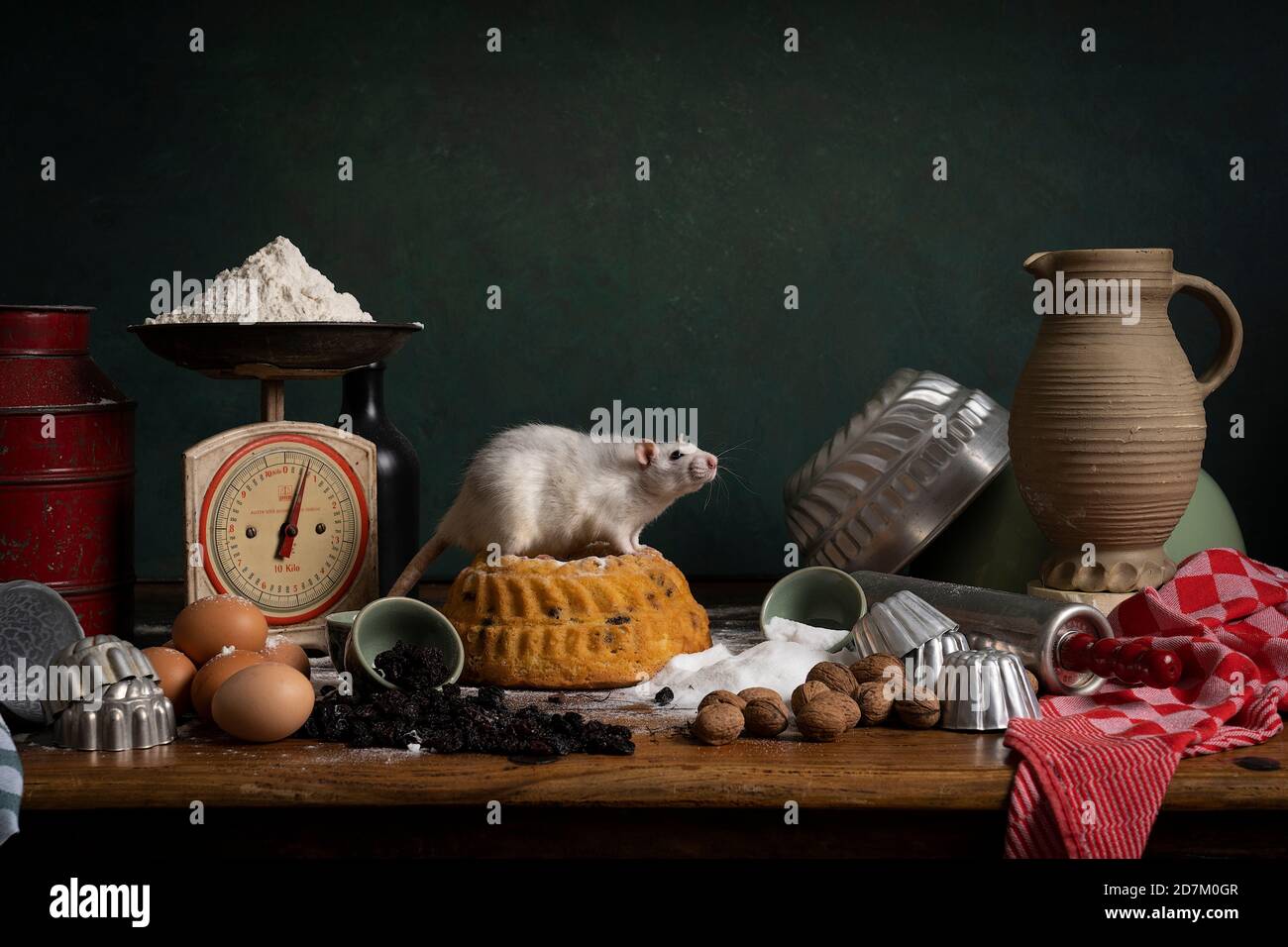 A Cute white and brown rat sitting in a stil life scene themed baking ...