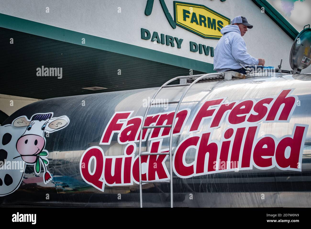 Poultry and dairy farming Stock Photo - Alamy
