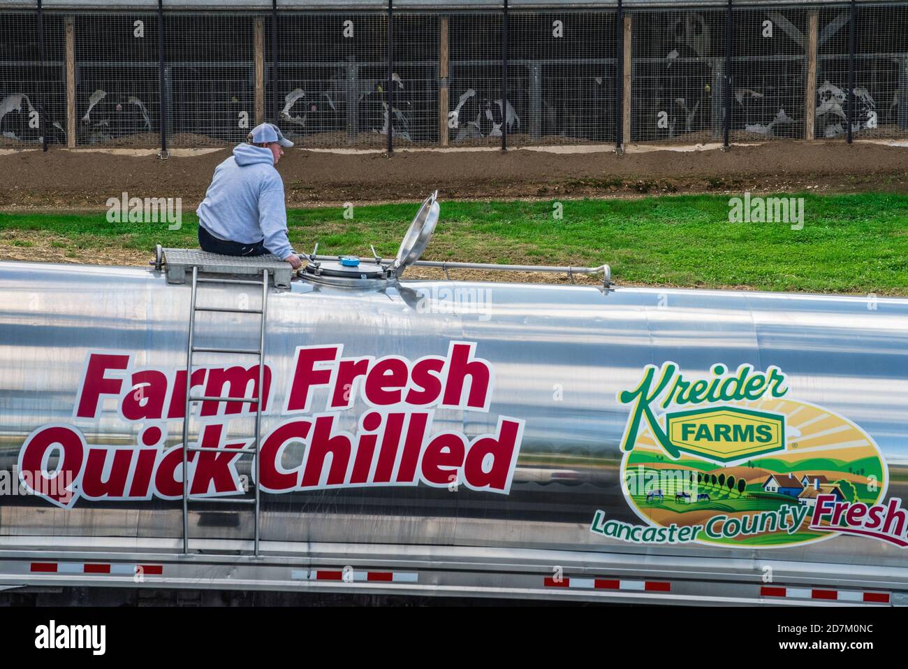 Poultry and dairy farming Stock Photo - Alamy