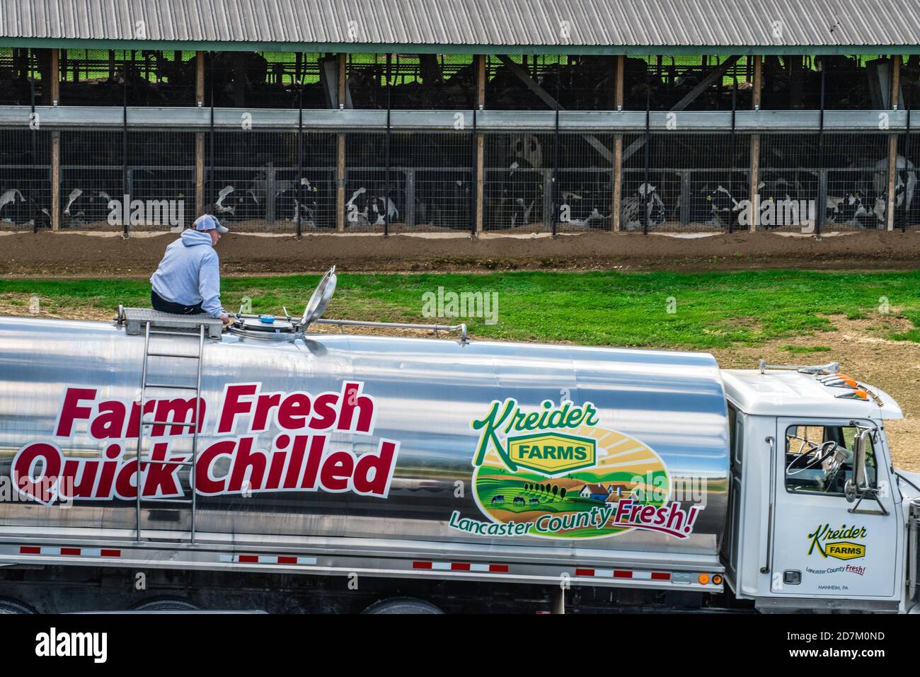 Poultry and dairy farming Stock Photo - Alamy
