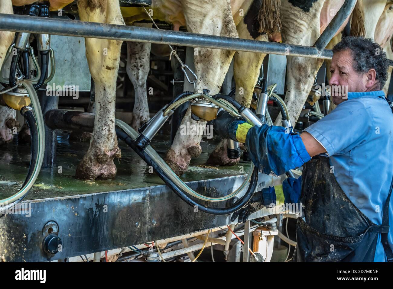 Dairy Farming Equipment