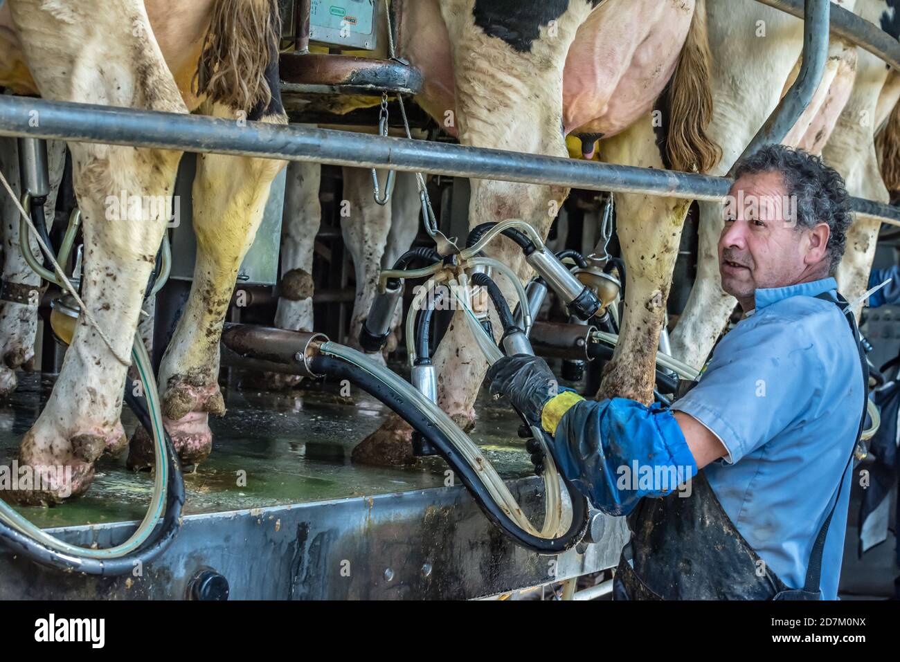 Dairy Farming Equipment