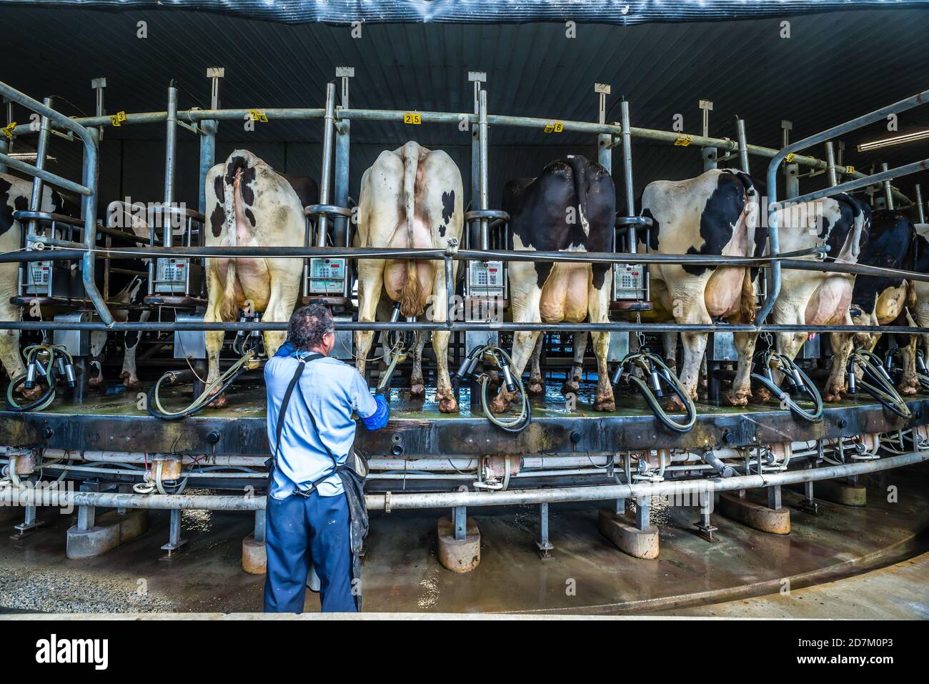 Dairy Farming Equipment