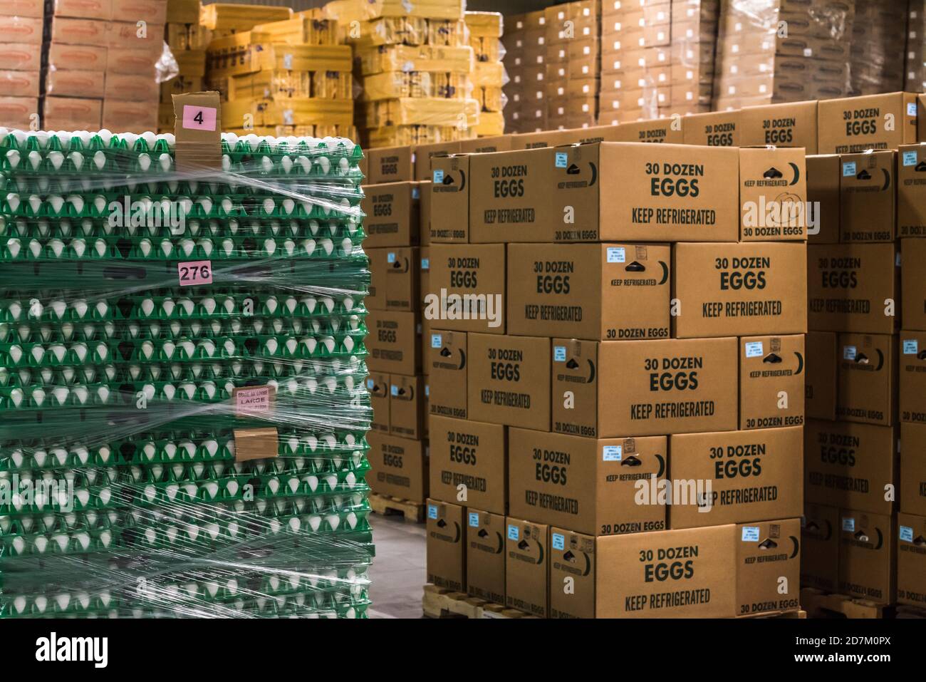Poultry and dairy farming Stock Photo - Alamy