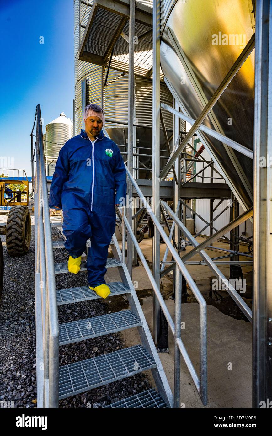 Poultry and dairy farming Stock Photo - Alamy