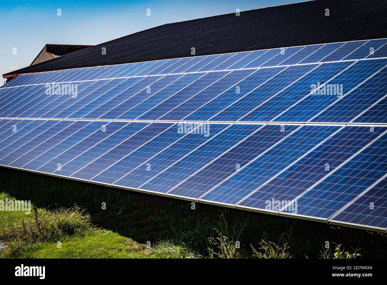 Solar panels providing power for large pig farm operation Stock Photo ...