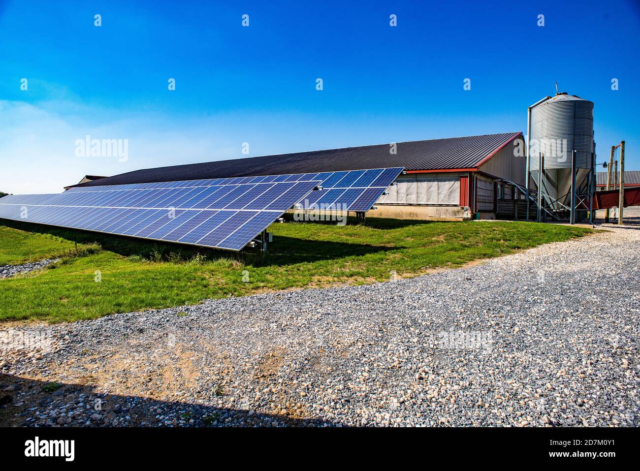 Solar panels providing power for large pig farm operation Stock Photo ...