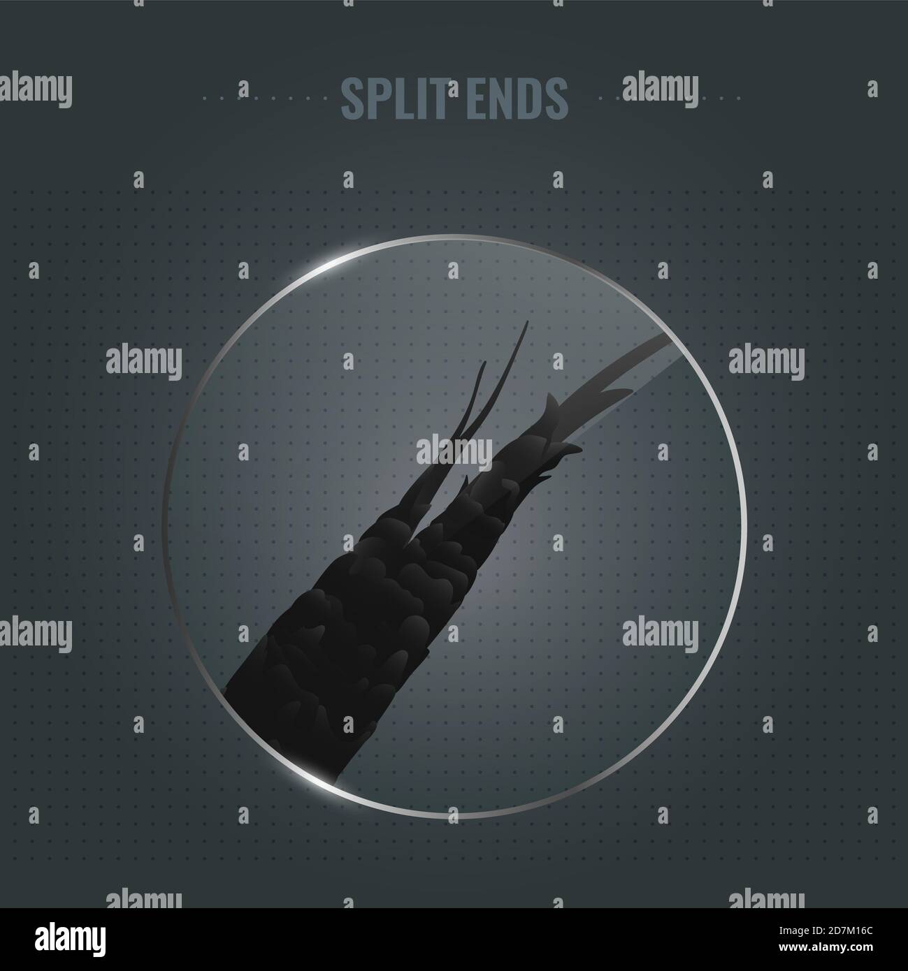 Hair follicle microscope hi-res stock photography and images - Alamy