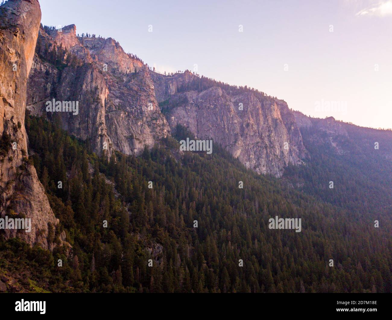 Low angle shot of the trees on the rocky cliff Stock Photo - Alamy