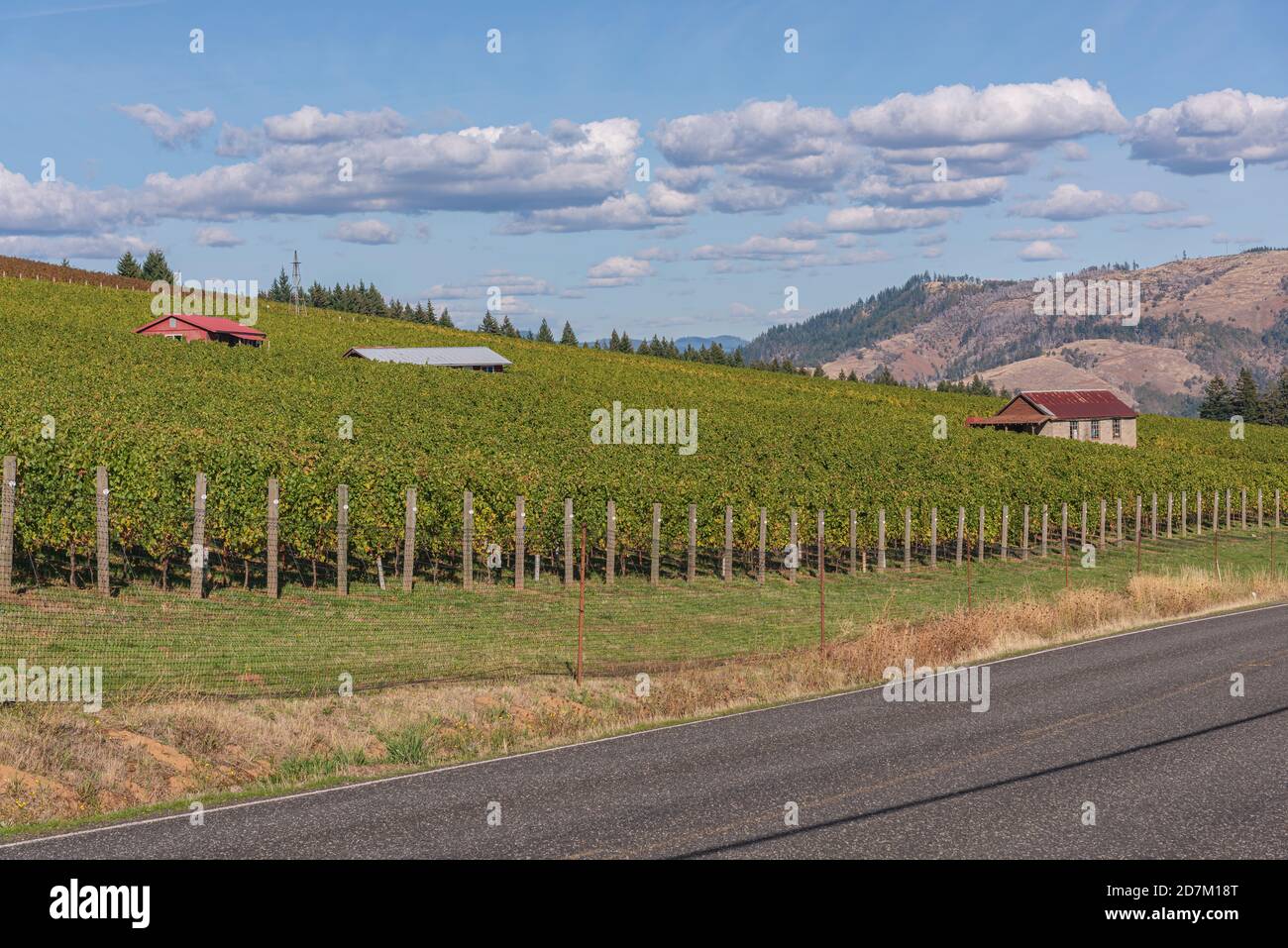 Washington vineyards and shack in a field Washington state Stock Photo ...