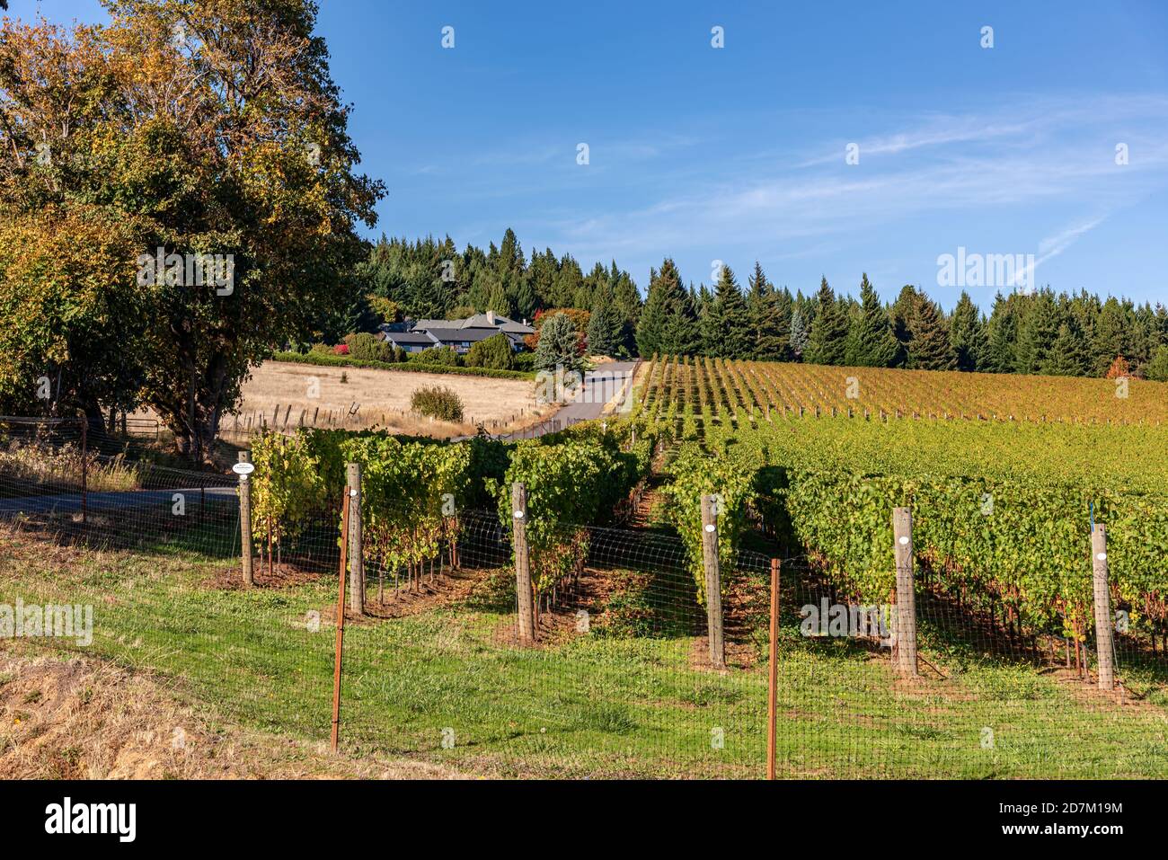 Washington mesh hi-res stock photography and images - Alamy