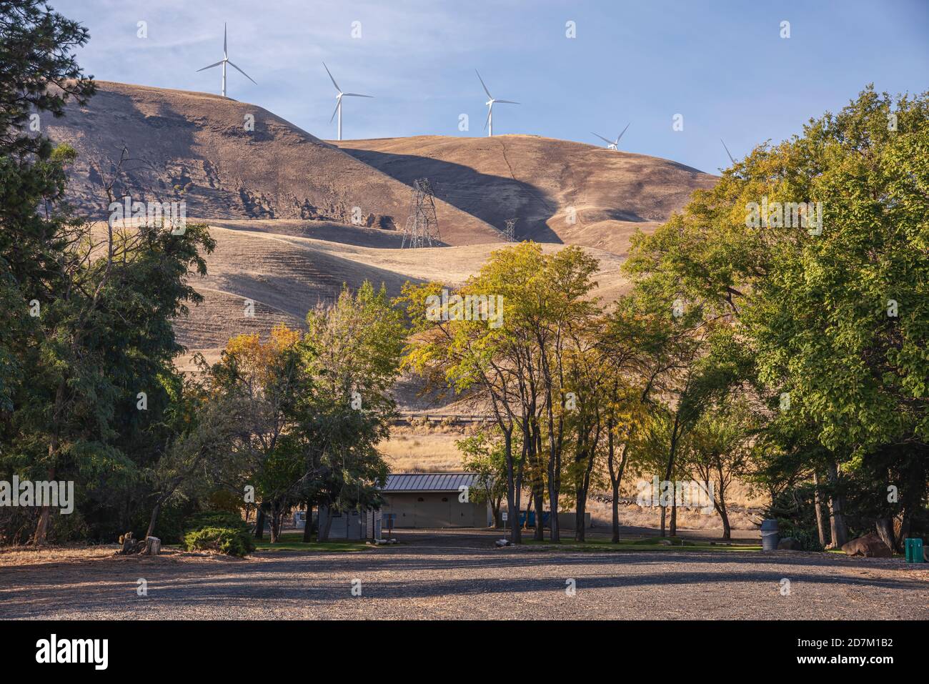 Maryhill museum of art trees and landscape grounds hilltop wind power ...