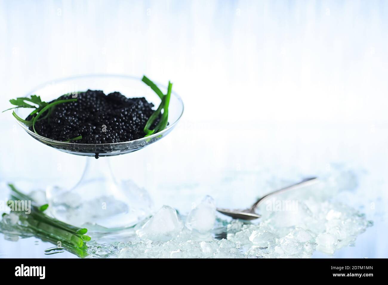 Fresh black fish roe. Beluga caviar served with ice Stock Photo - Alamy