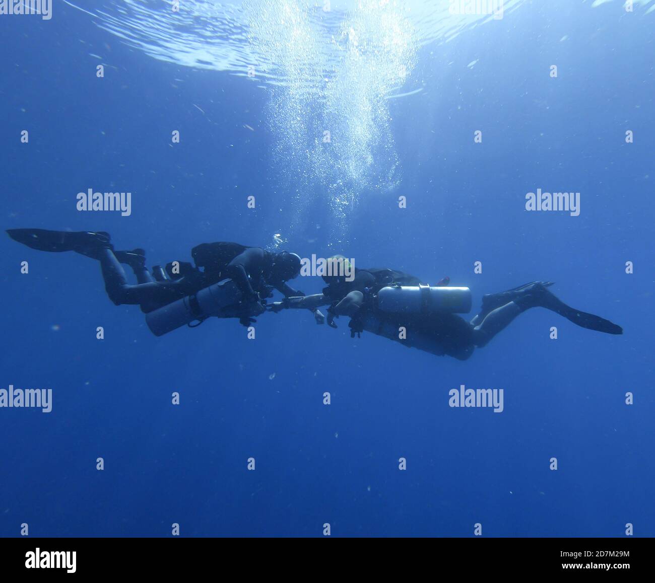 Scuba divers in the depths of the ocean with an oxygen tank and fins ...